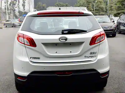 传祺GS5 2013款 2.0L 自动两驱浅内特别版 广汽传祺 7/11张图片大全_汽车外观图库-汽车之家