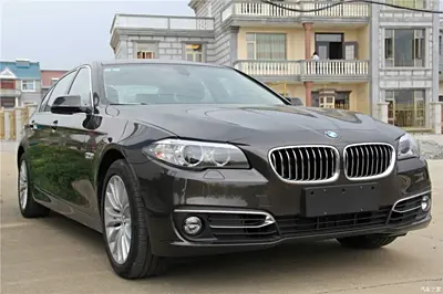 宝马5系 2014款 525Li 豪华设计套装 宝马 3/3张图片大全_汽车外观图库_巴西棕-汽车之家