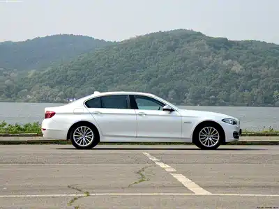 宝马5系 2014款 528Li xDrive豪华设计套装 宝马 8/14张图片大全_汽车外观图库-汽车之家