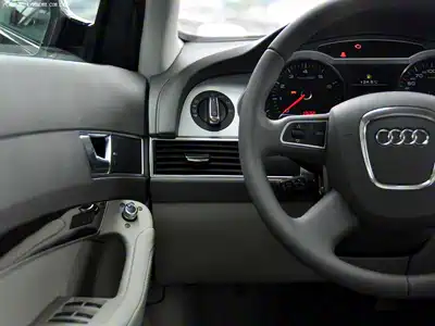 奥迪A6L 2010款 2.4L 豪华型 奥迪 22/46张图片大全_汽车内饰图库-汽车之家