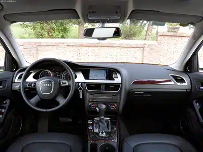 奥迪A4L 2010款 2.0 TFSI 豪华型 奥迪 1/60张图片大全_汽车内饰图库-汽车之家