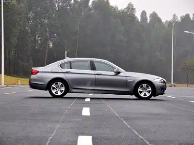 宝马5系 2011款 528Li 豪华型 宝马 11/12张图片大全_汽车外观图库_太空灰-汽车之家