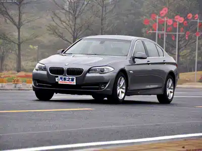 宝马5系 2011款 528Li 豪华型 宝马 8/12张图片大全_汽车外观图库_太空灰-汽车之家