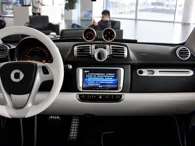 smart forjeremy 2013款 Jeremy Scott特别版 smart 3/72张图片大全_汽车内饰图库-汽车之家