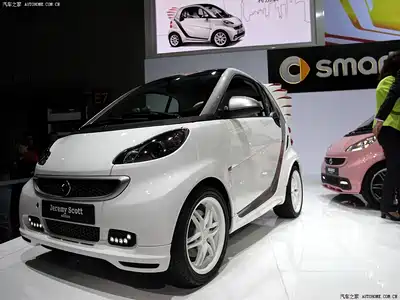 smart forjeremy 2013款 Jeremy Scott特别版 smart 8/11张图片大全_汽车外观图库-汽车之家