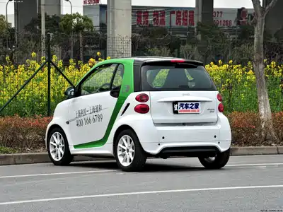 smart fortwo新能源 2014款 Electric Drive smart 8/41张图片大全_汽车外观图库-汽车之家