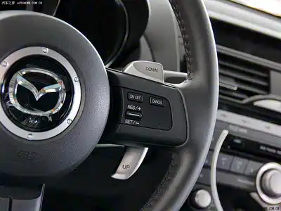 马自达RX-8 2008款 1.3 6挡自动型 马自达 17/46张图片大全_汽车内饰图库-汽车之家